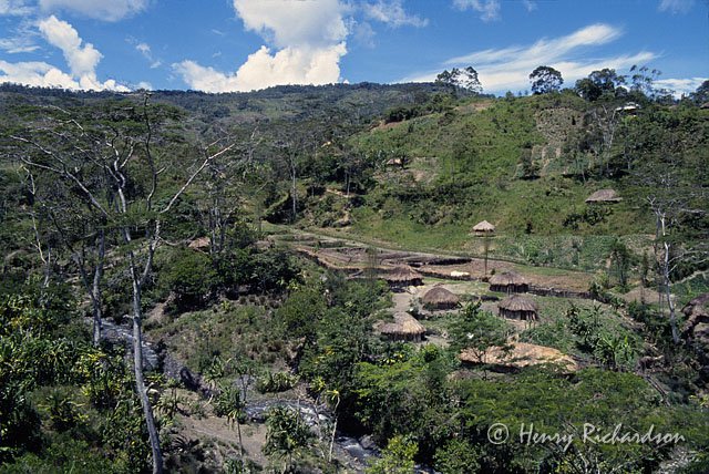 West Papua New Guinea (Irian Jaya)/ij-landscape-2